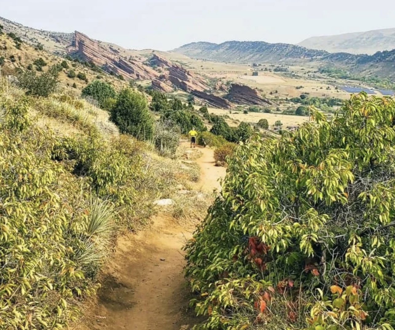 Stepping Out: Mount Falcon Hike - Lotus Network